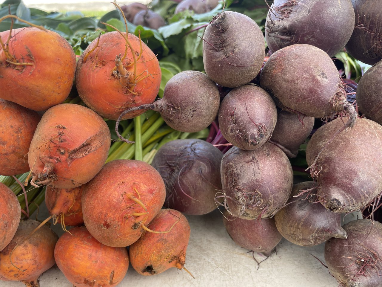 What's in Season in Norfolk: Spring 2024 - VisitNorfolk