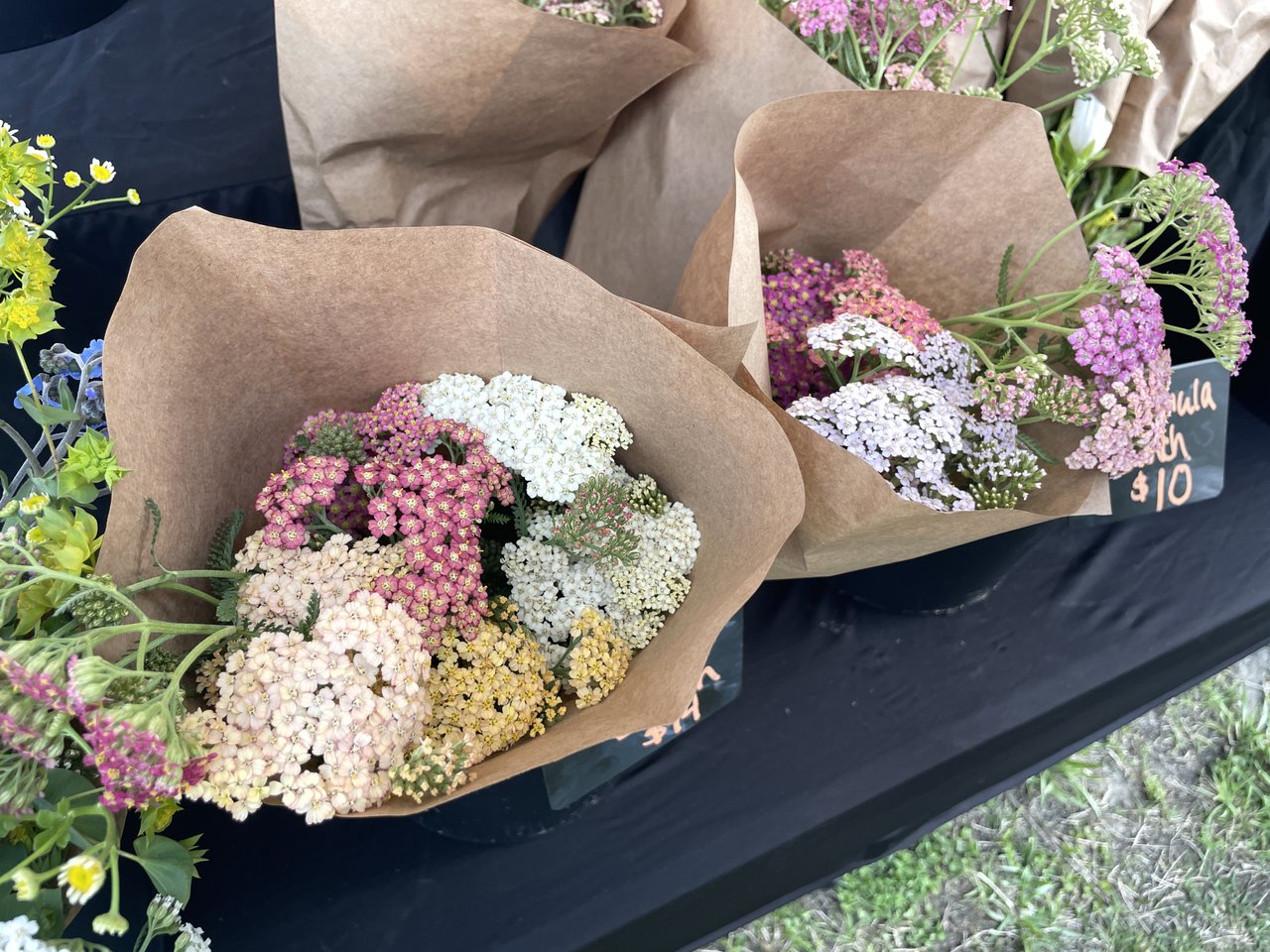 What's in Season in Norfolk: Spring 2024 - VisitNorfolk