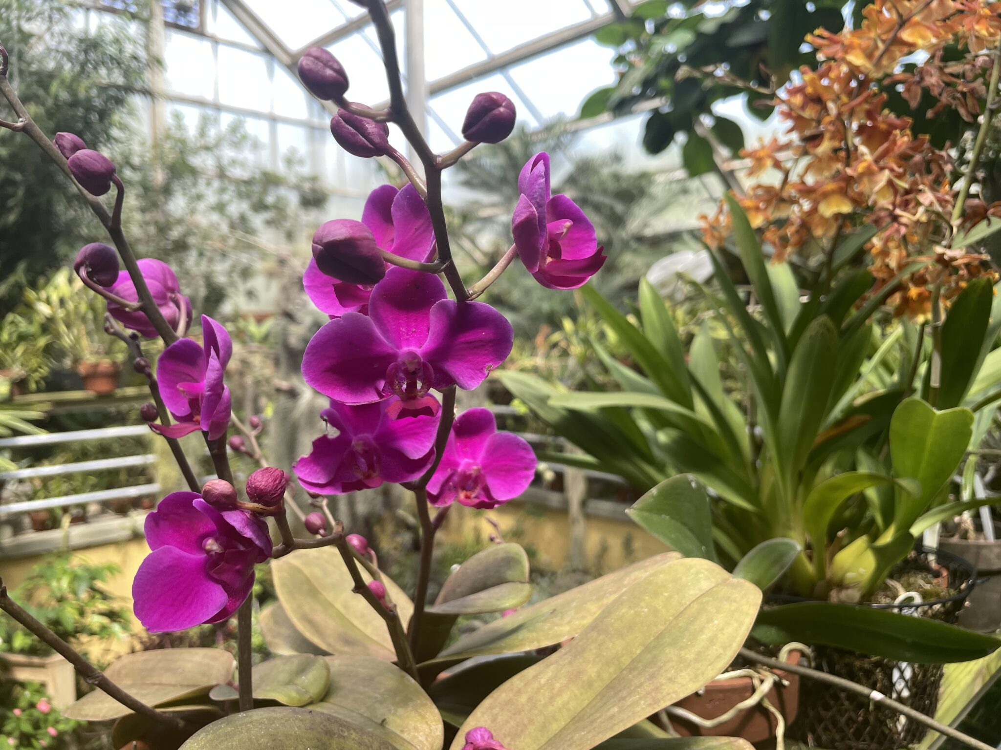 Two-Day Norfolk Spring itinerary - VisitNorfolk